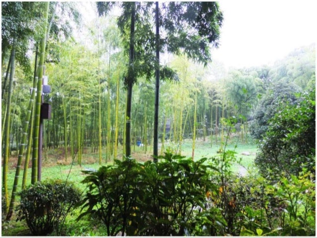 Datang Tribute Tea Park, Changxing Zhejiang (浙江長興 大唐貢茶院)