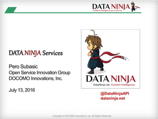 Data Ninja Services: empowering data science workflows with text ...