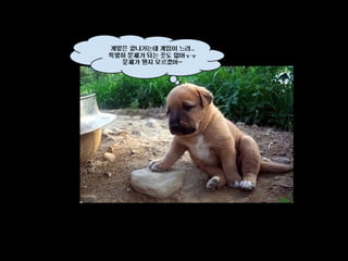 Data oriented design | PPT