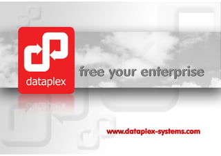Dataplex Company Overview | PPT