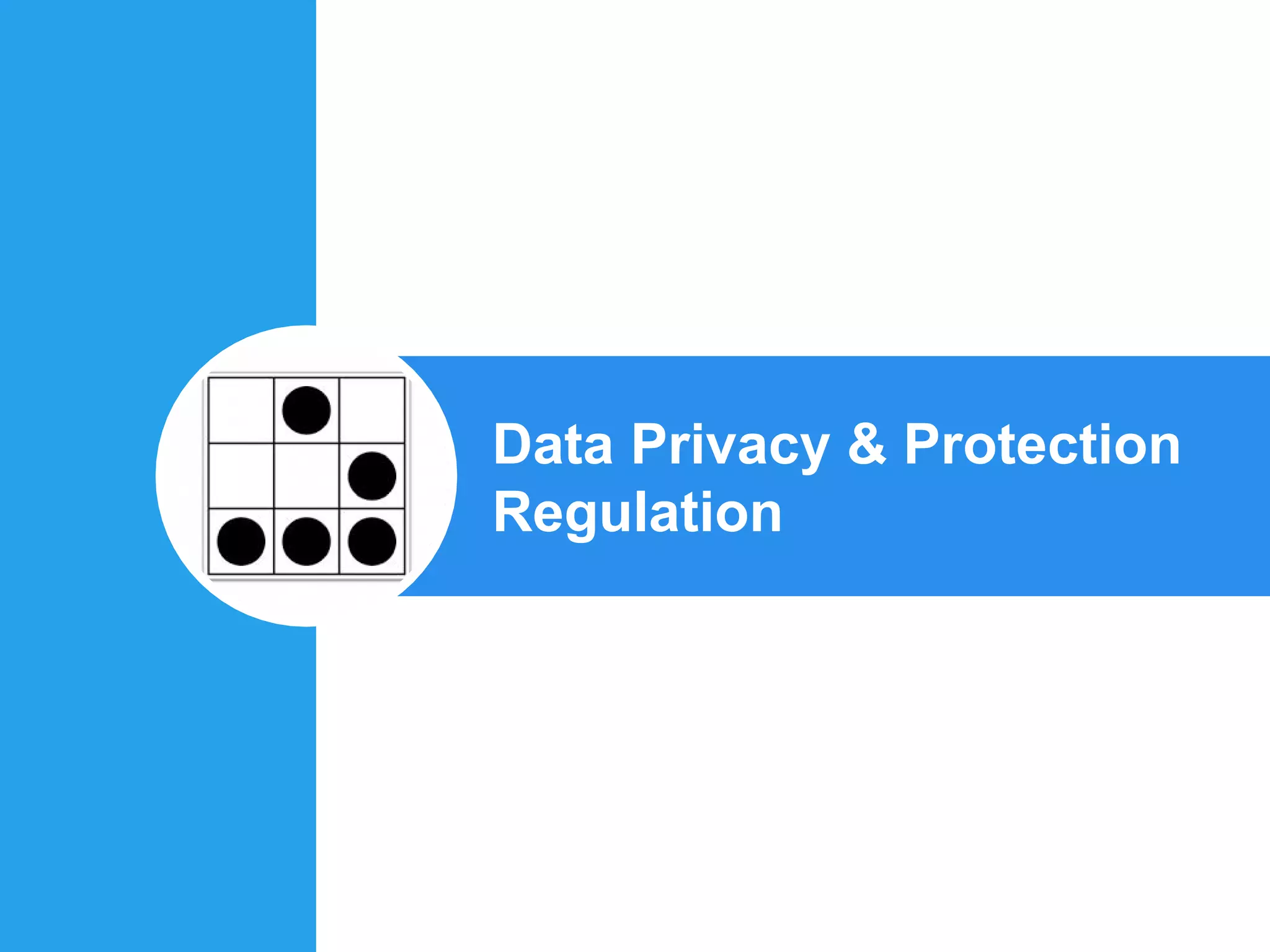Data Privacy & Security | PDF