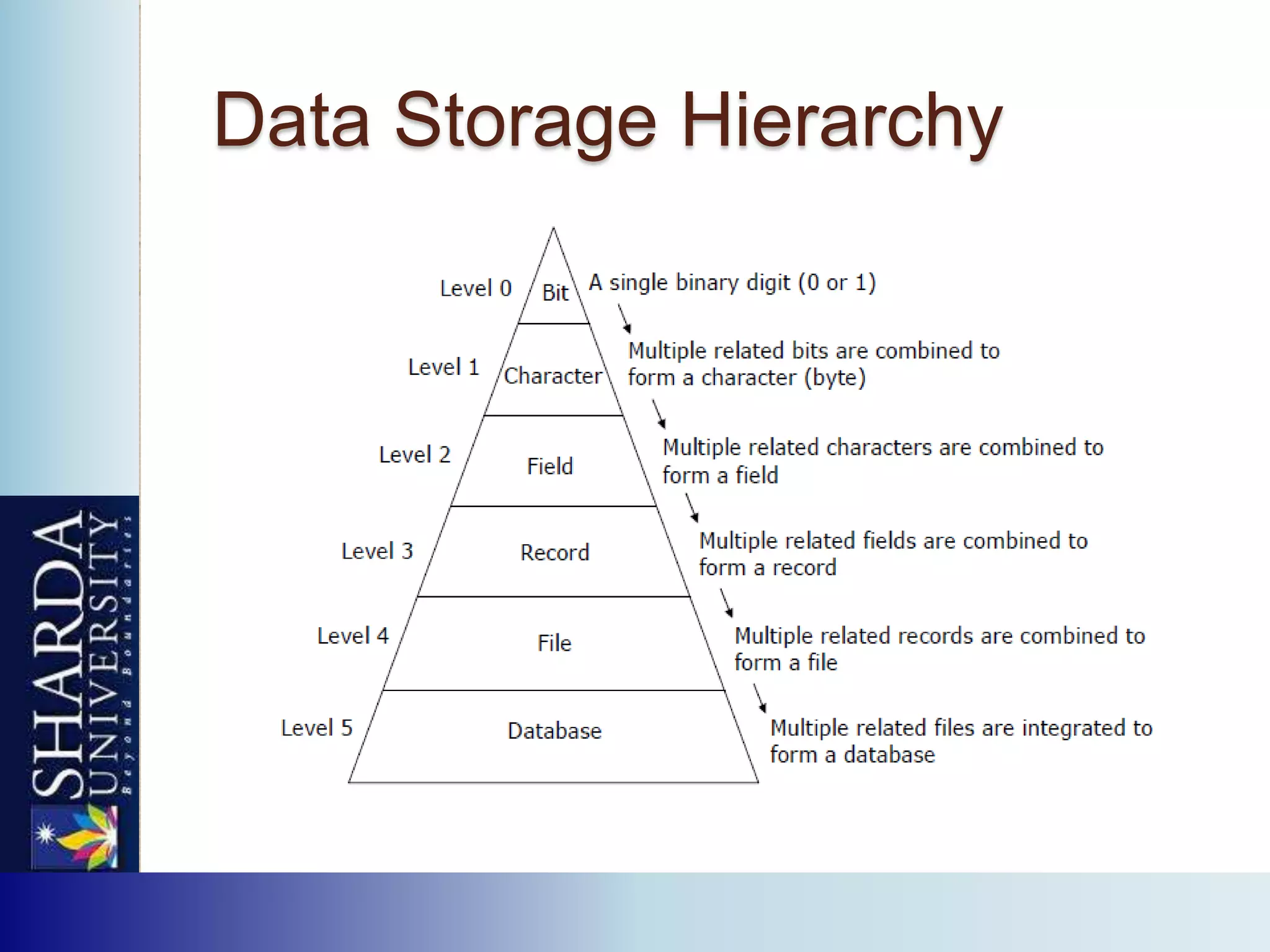 Data processing by Neeraj Bhandari ( Surkhet.Nepal ) | PPTX