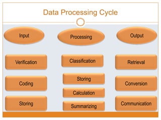 Data processing and analysis final | PPTX