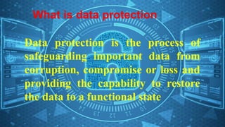 Data Protection and Privacy laws class 11 | PPTX