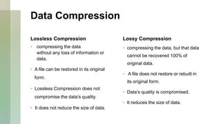 Data_Representation_CAO.pptx............ | PPTX