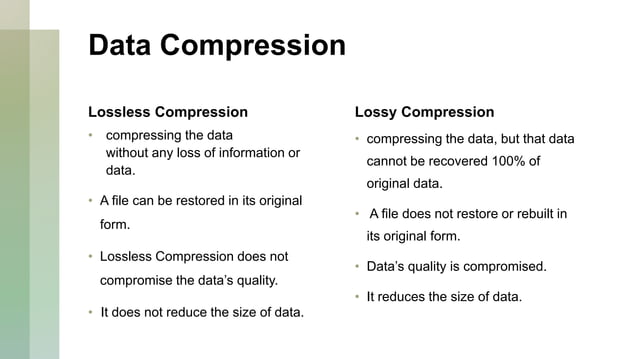 Data_Representation_CAO.pptx............ | PPTX