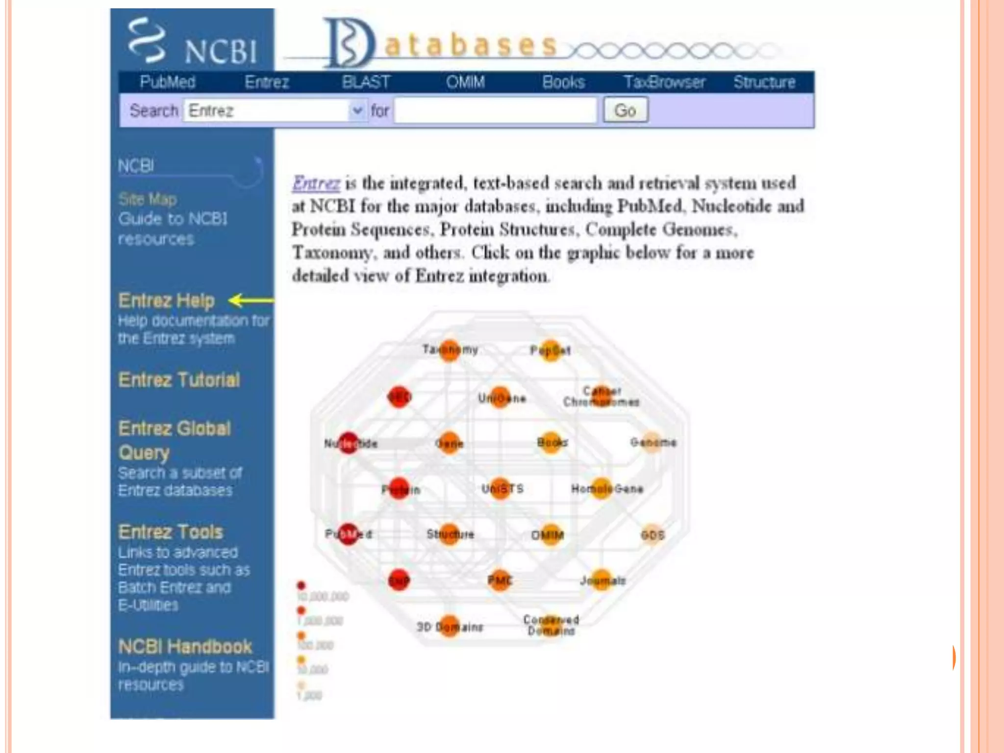 Data retriveal ,srg and dbget | PPTX