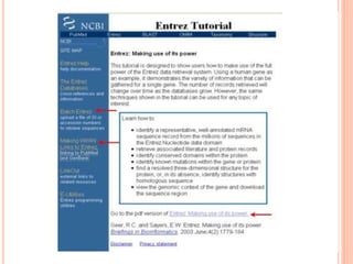 Data retriveal ,srg and dbget | PPTX