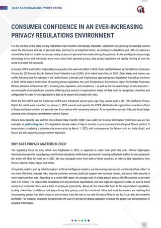 DATA SAFEGUARD INC.- WHITE PAPER | PDF