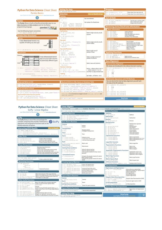 Data Science Cheat Sheet(Python_R).pdf
