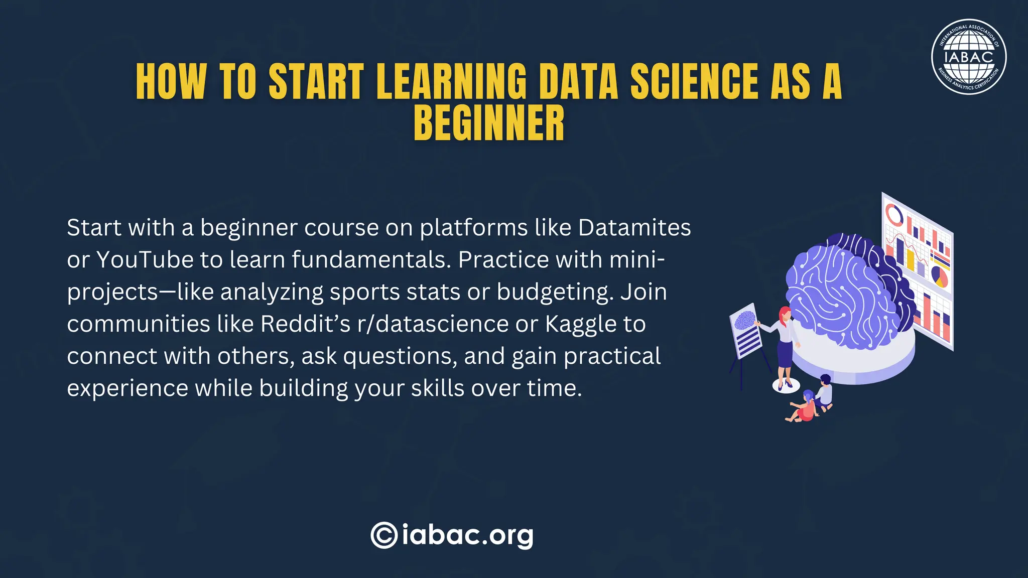 Data Science for Beginners | IABAC | PDF