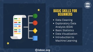 Data Science for Beginners | IABAC | PDF
