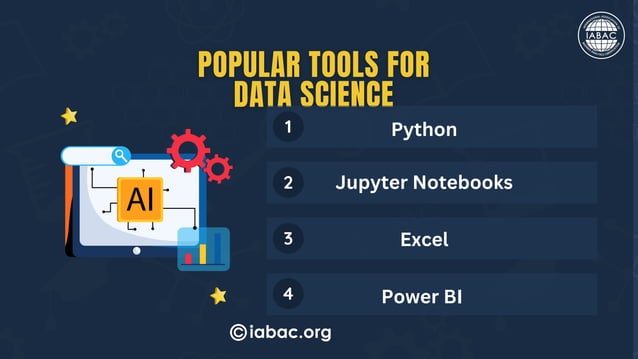 Data Science for Beginners | IABAC | PDF