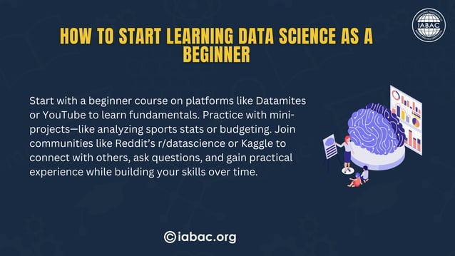 Data Science for Beginners | IABAC | PDF
