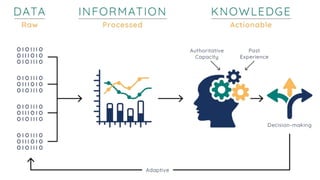 Data Science Guest Lecture for initial students.pptx