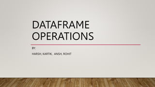 Data Science ppt on dataframe operations.pptx