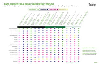 IAPP - Skills For Minimizing Privacy Risk in Data Science Product and ...