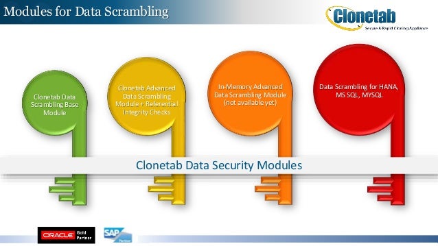 CloneTab Advanced DataScrambling.pptx