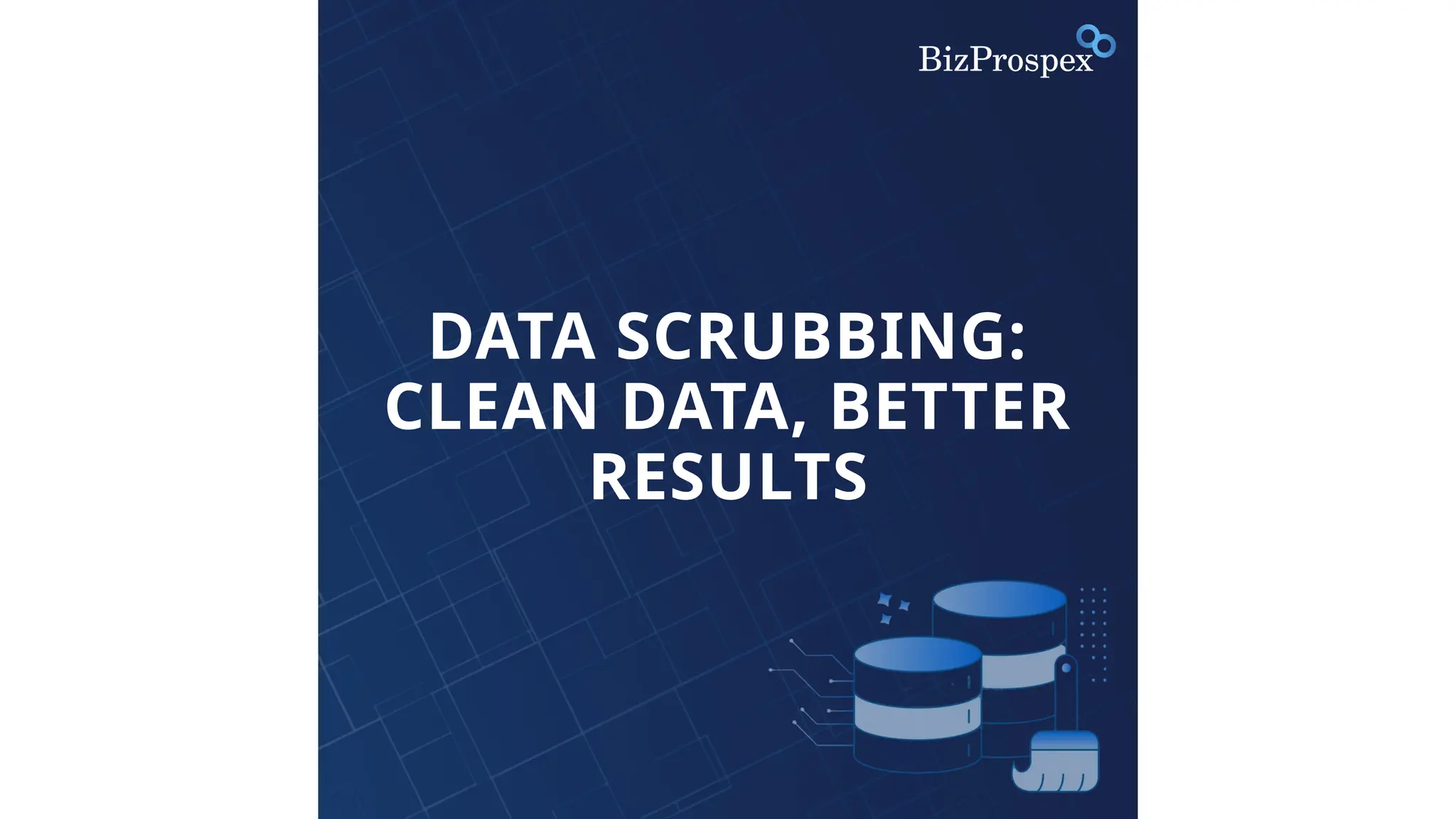 Data Scrubbing Presentation - Bizprospex | PPTX