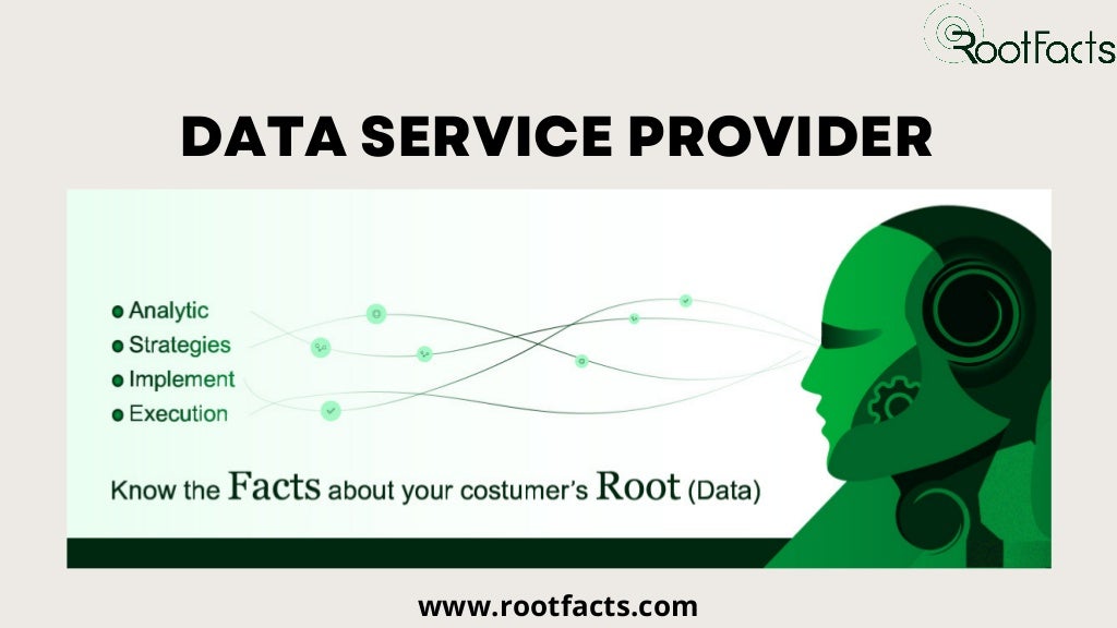 Data Service Provider.pdf