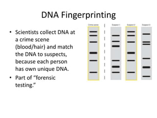 Data Sheet Biotechnology.pptx