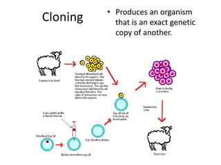 Data Sheet Biotechnology.pptx