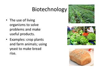 Data Sheet Biotechnology.pptx