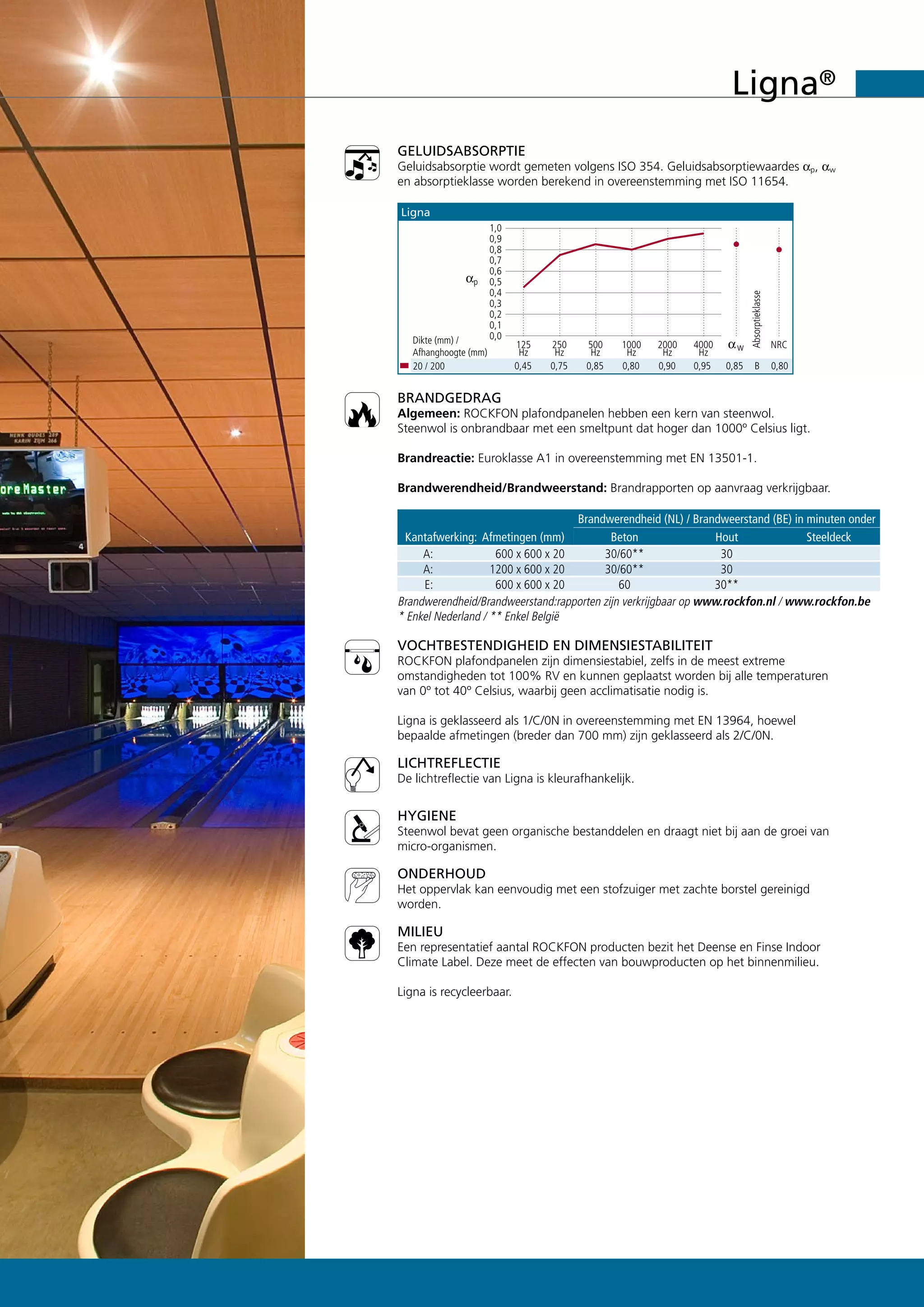 Rockfon - Ligna | PDF