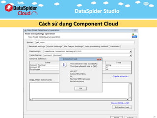 Data spider servista for Beginner | PPTX