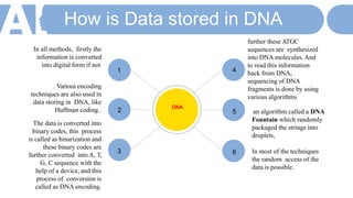 Datastorage in DNA | PPTX | Data Storage and Warehousing | Computing