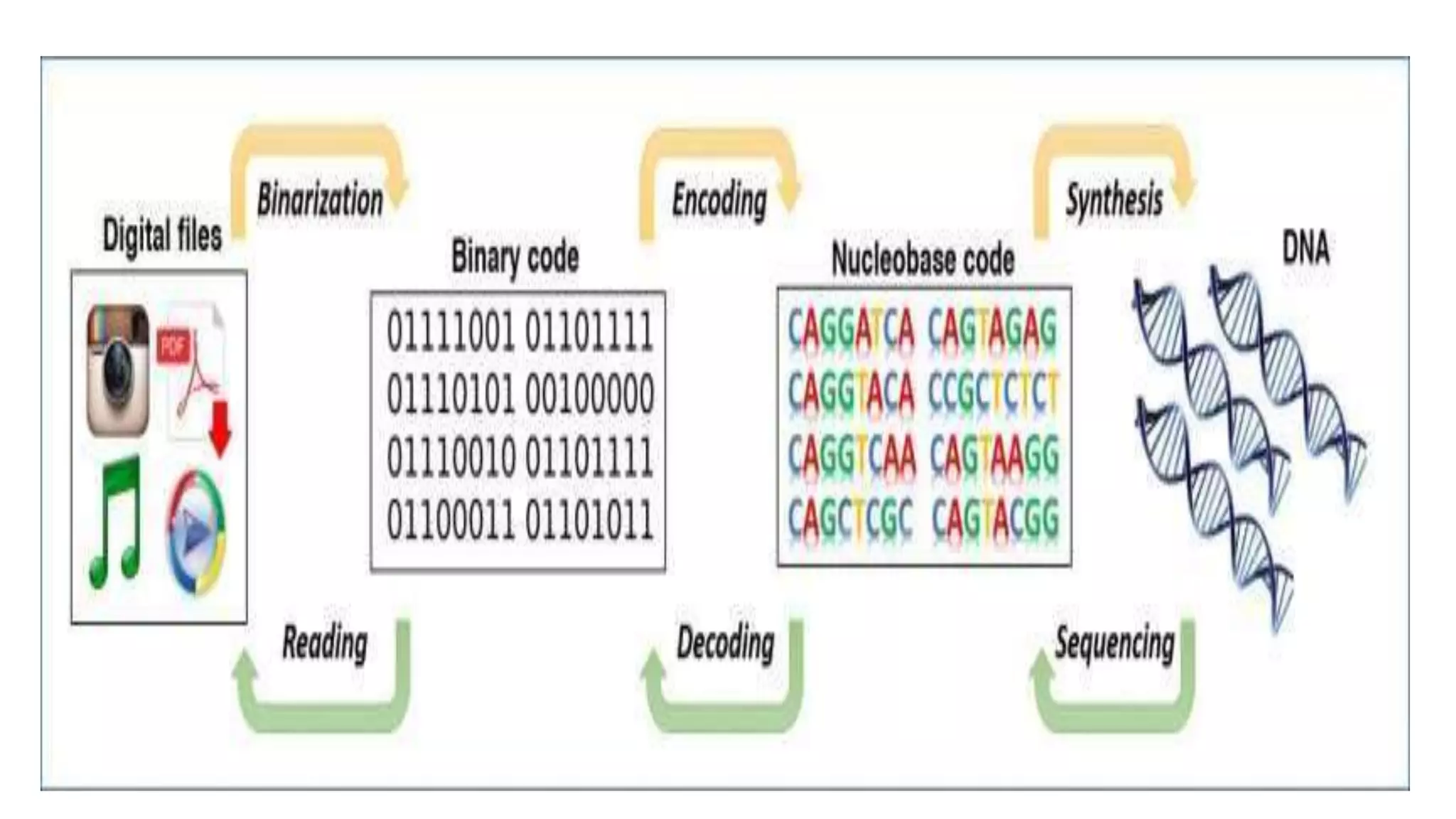 Datastorage in DNA | PPT