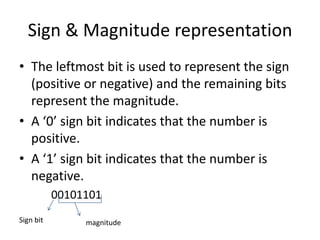 Data storage & representation | PPTX