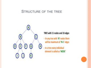 Data Structure.pptx