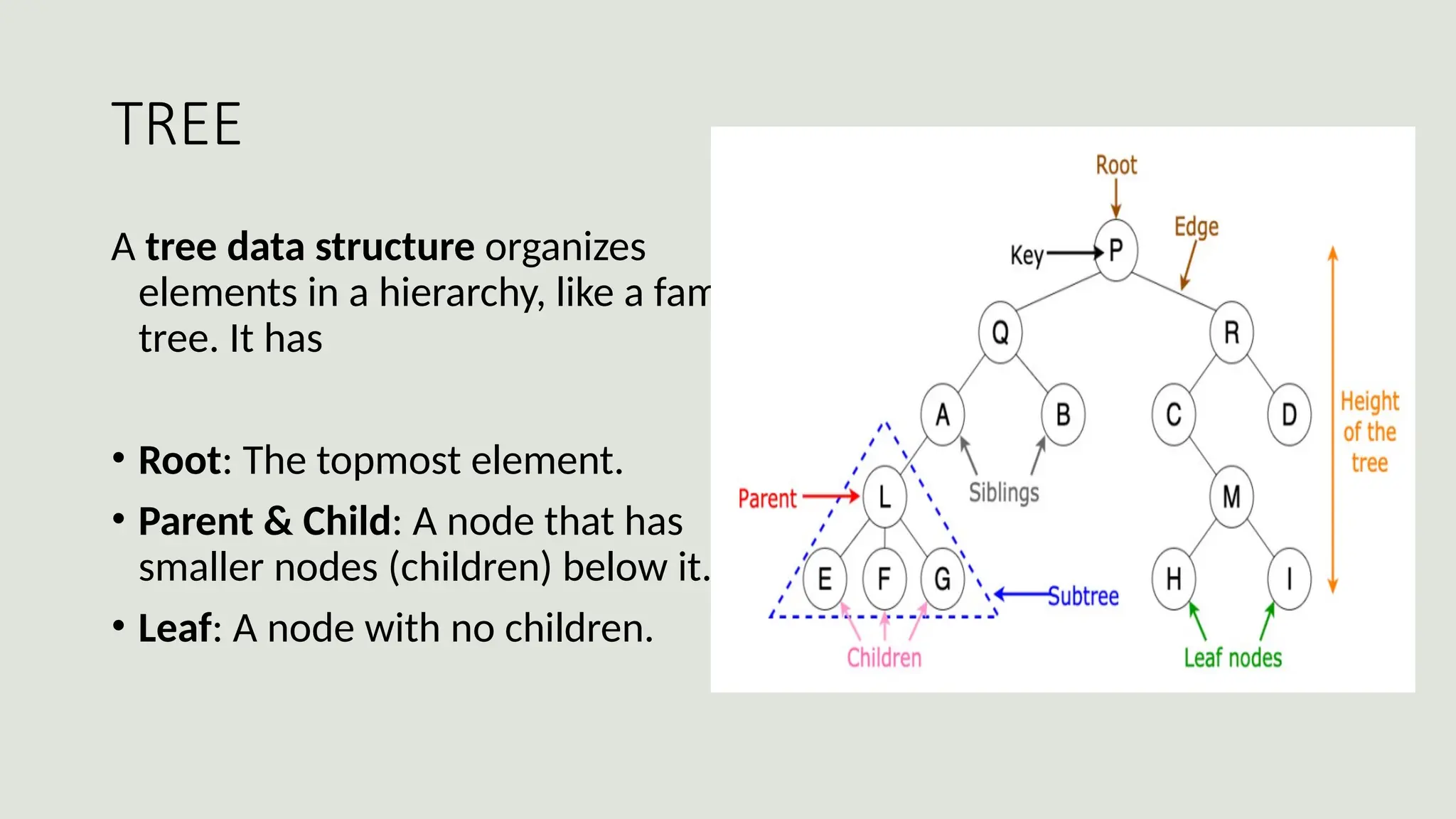 DATA STRUCTURES and its classifications.pptx
