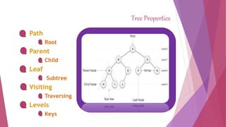 Tree(Data Structure) | PPTX