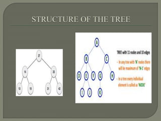 Data Structure1.pptx