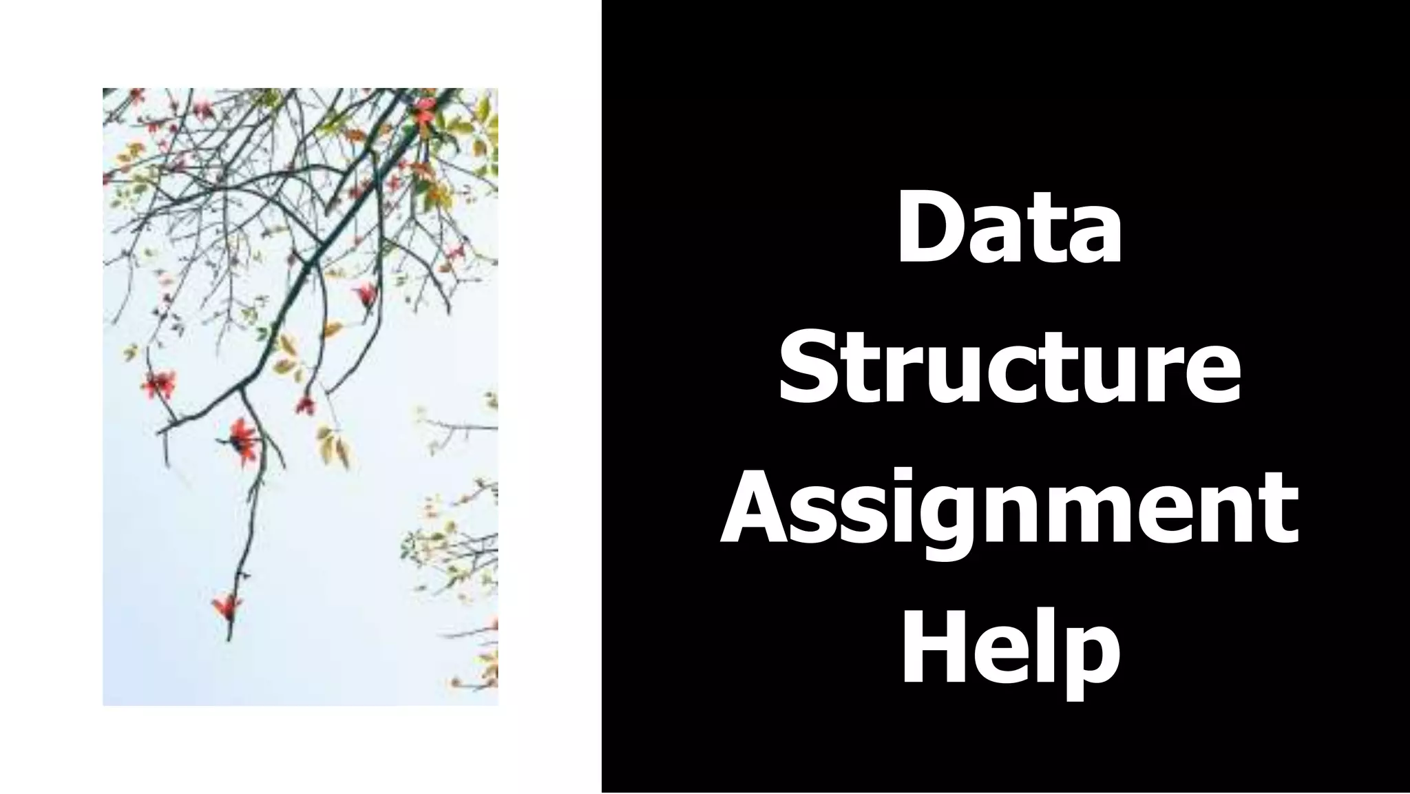 Data Structure Assignment Help.pptx