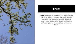 Data Structure Assignment Help.pptx