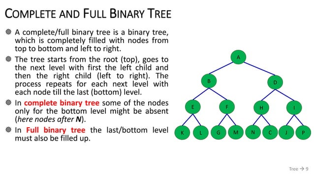 Data structure tree - intermediate | PPTX