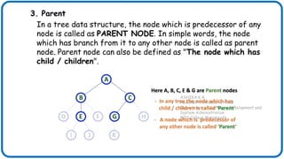 DATA STUCTURES-TREES.pptx | Programming Languages | Computing