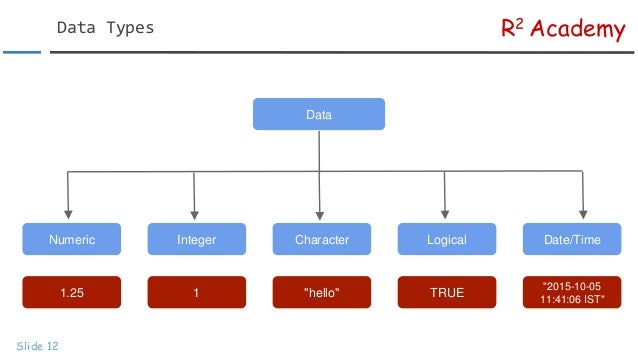 R Programming: Variables & Data Types