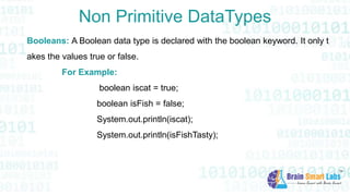 Data types - brainsmartlabs | PPT