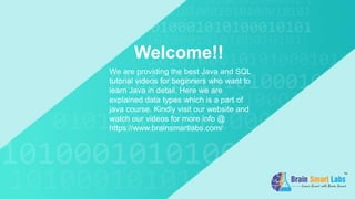 Data types - brainsmartlabs | PPT