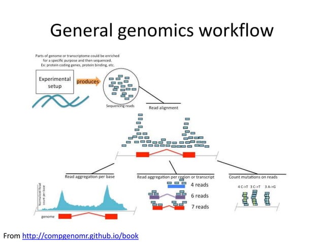 Data analysis patterns, tools and data types in genomics | PPT