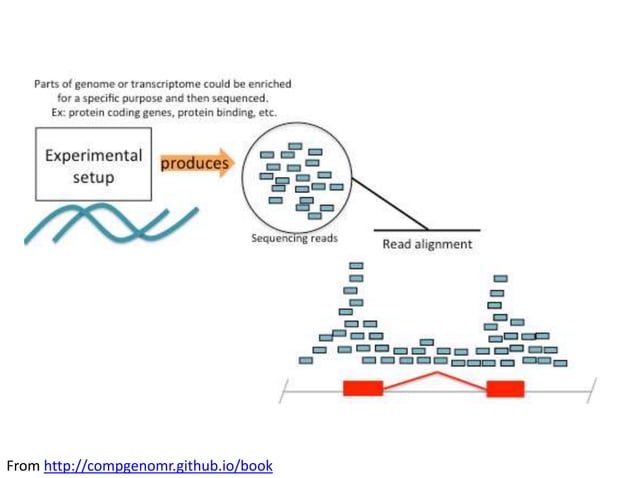 Data analysis patterns, tools and data types in genomics | PPT