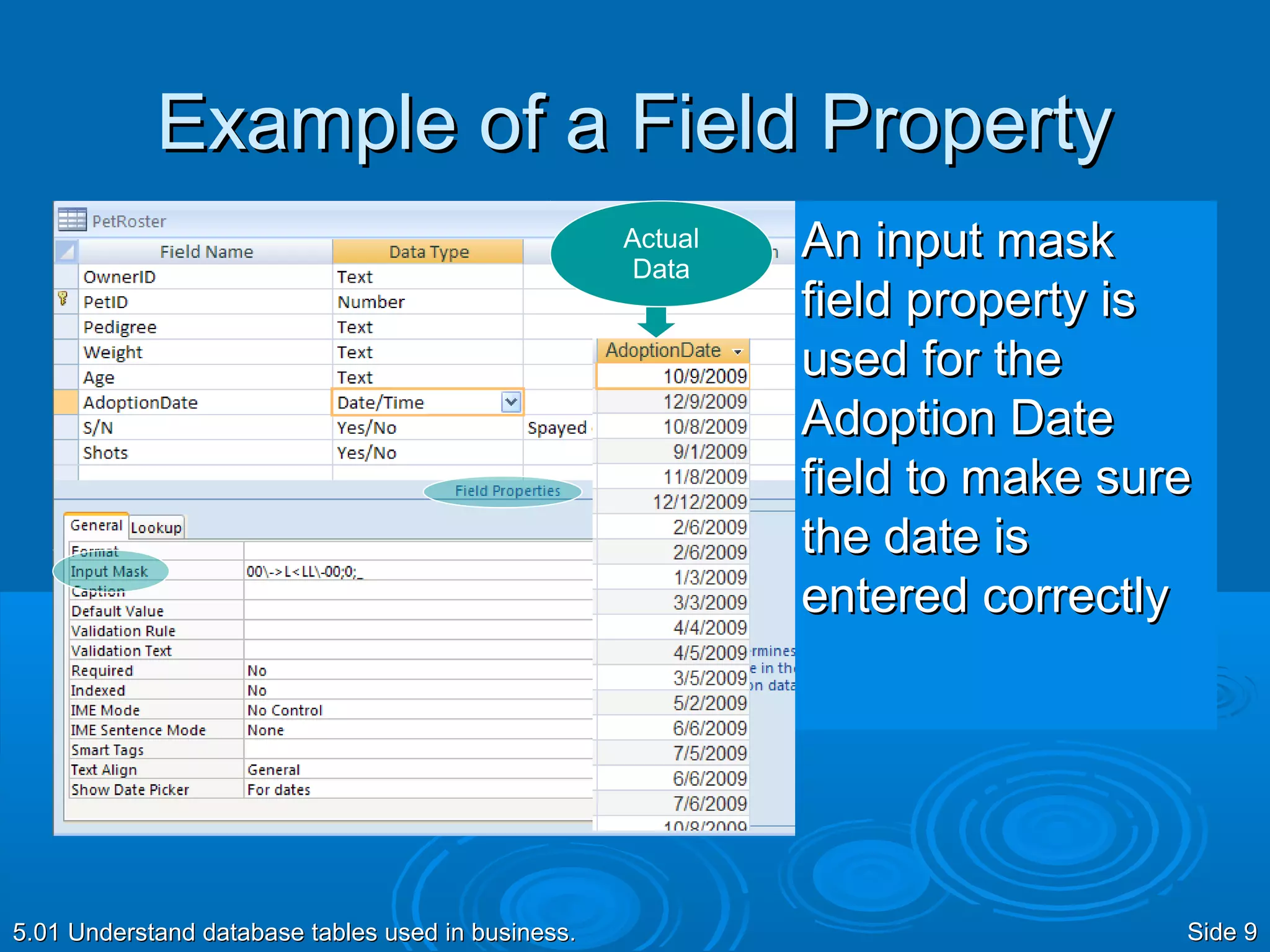 Data types and field properties | PPT