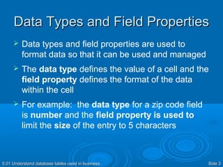 Data types and field properties | PPT