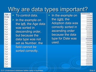 Data types and field properties | PPT