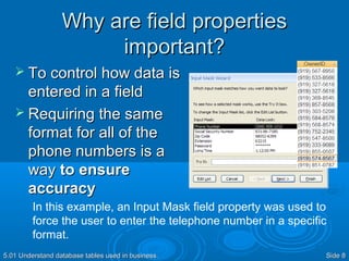 Data types and field properties | PPT