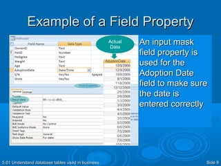 Data types and field properties | PPT